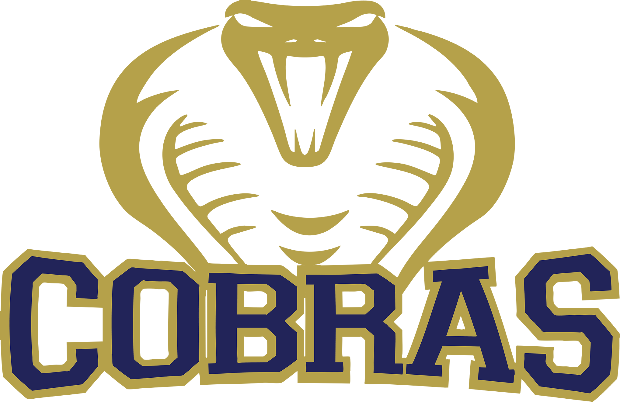 Cobras Team Store – Apparel Pro Sportswear